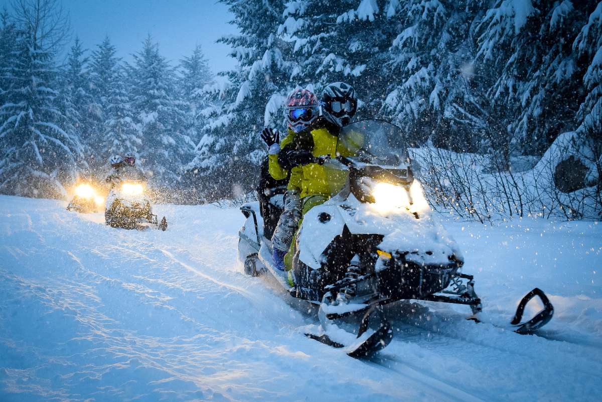 Tips About Snowmobile Licensing, Registration, and Insurance in Alberta ...